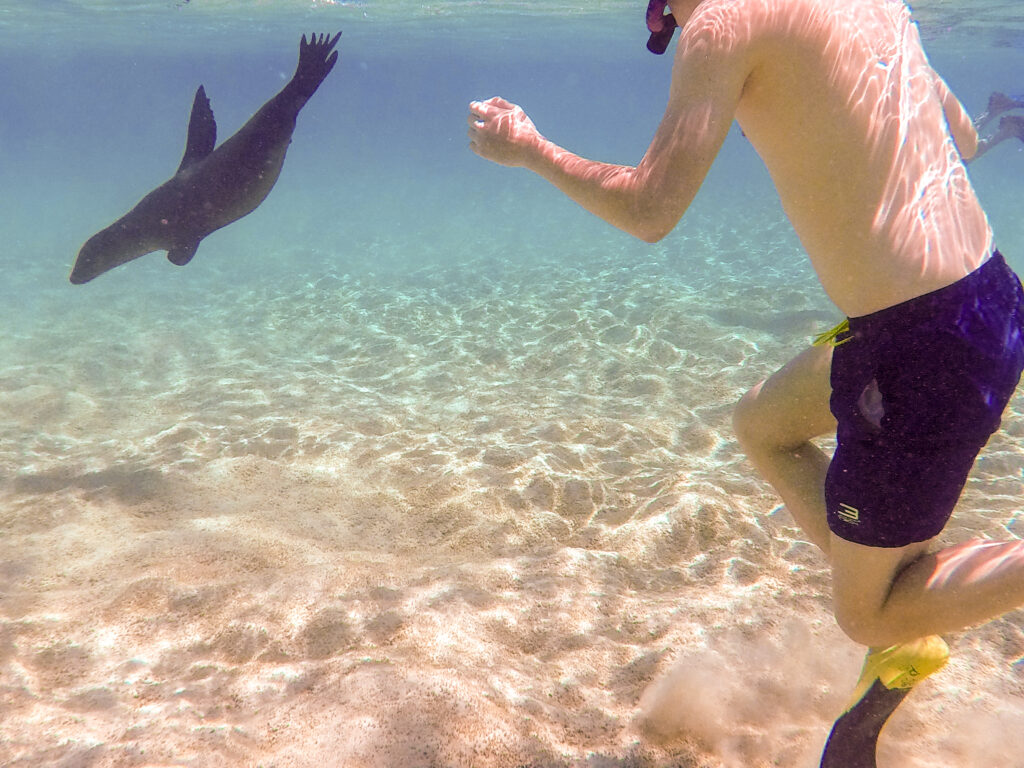 What to expect on a day trip to Pinzón Island, Galápagos